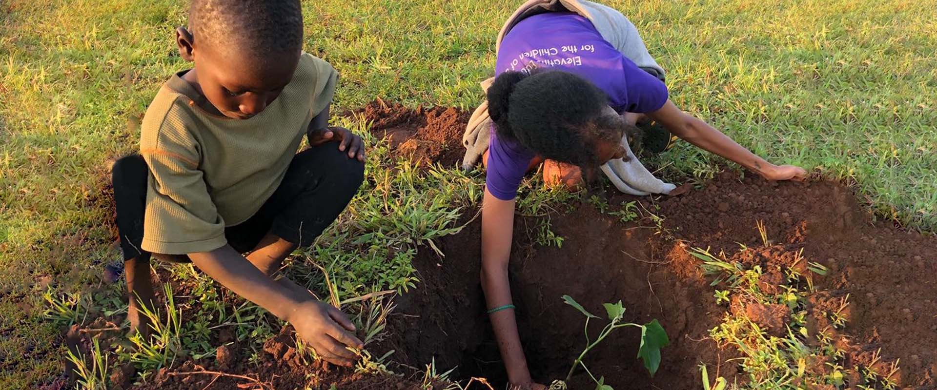 Environment Conservation Program - See Them Grow Foundation